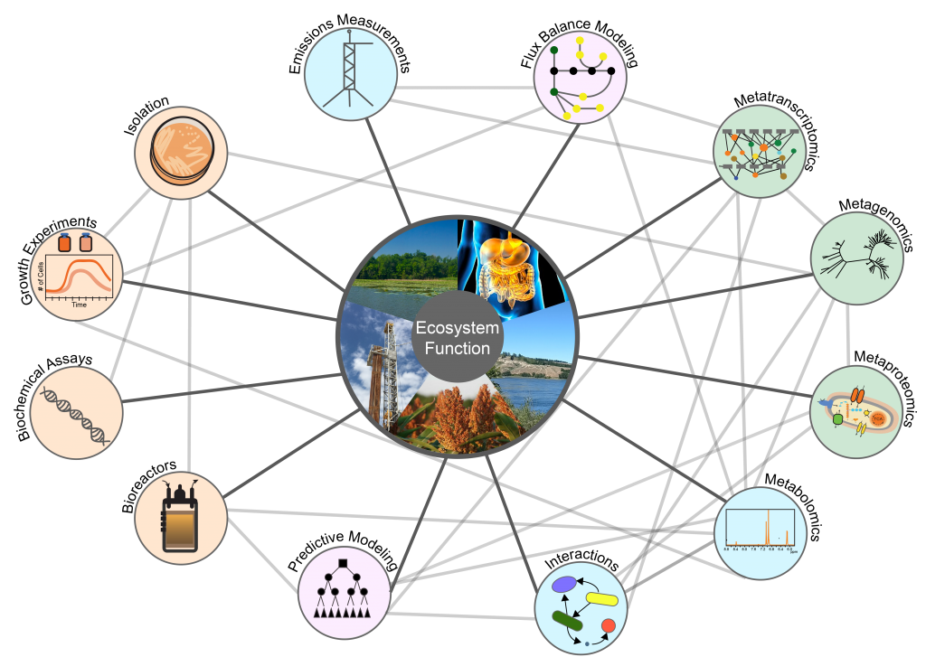 Microbial Ecosystems Laboratory - Microbiome Research Group