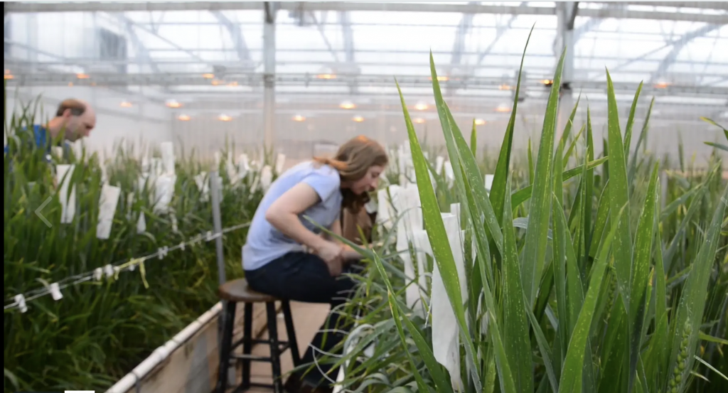 CSU microbiome network featured at AgInnovation Summit - Microbial Ecosystems Lab