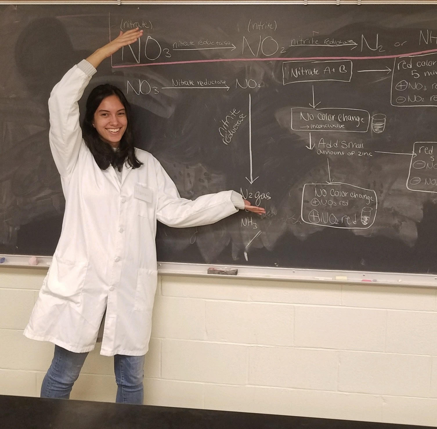 Hannah Lucero - Microbial Ecosystems Lab